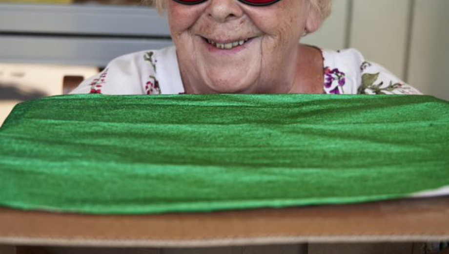Facility For Blind & Vision Impaired Scottish Veterans, W.Lothian